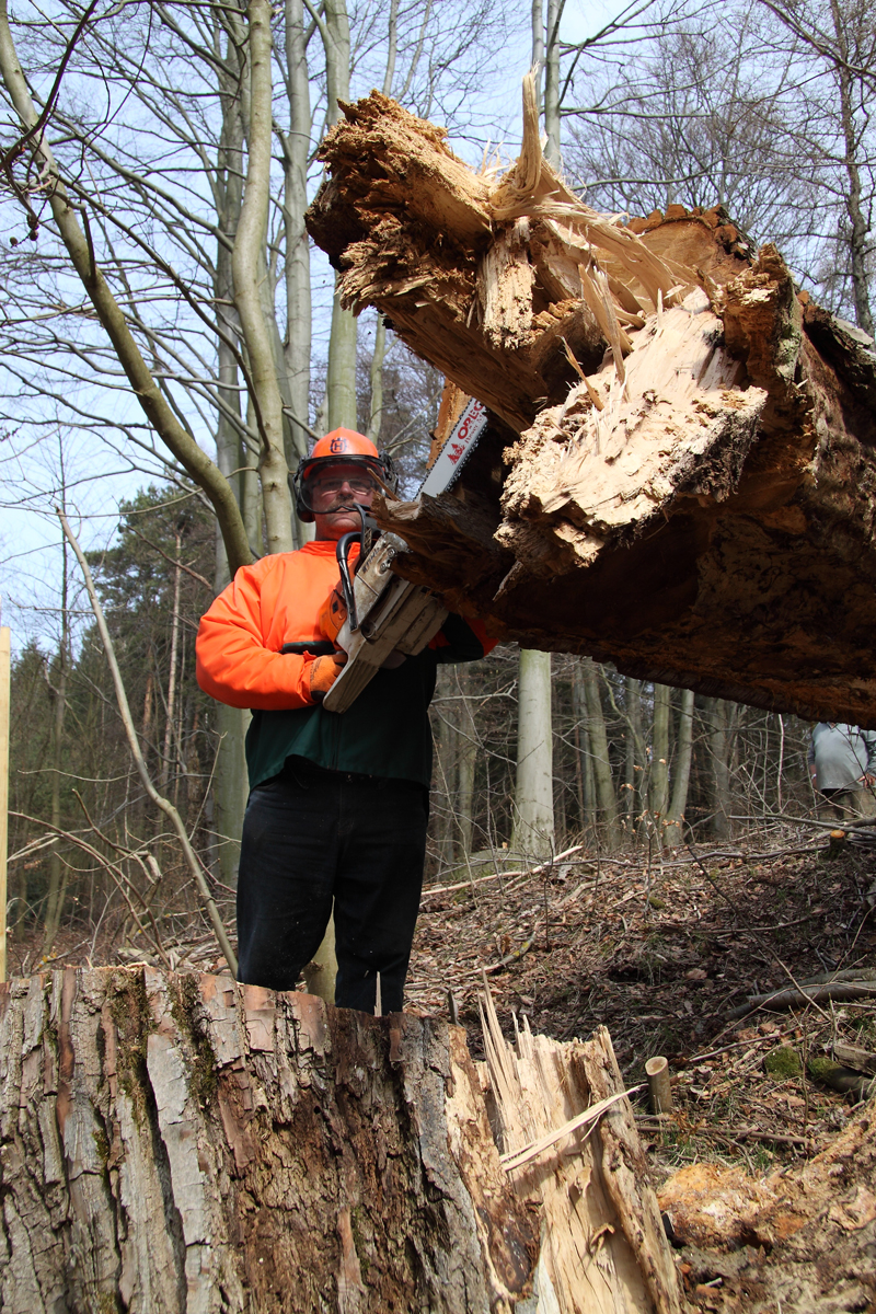 Rodungsarbeiten - Baumpflege Jonas Guckuck